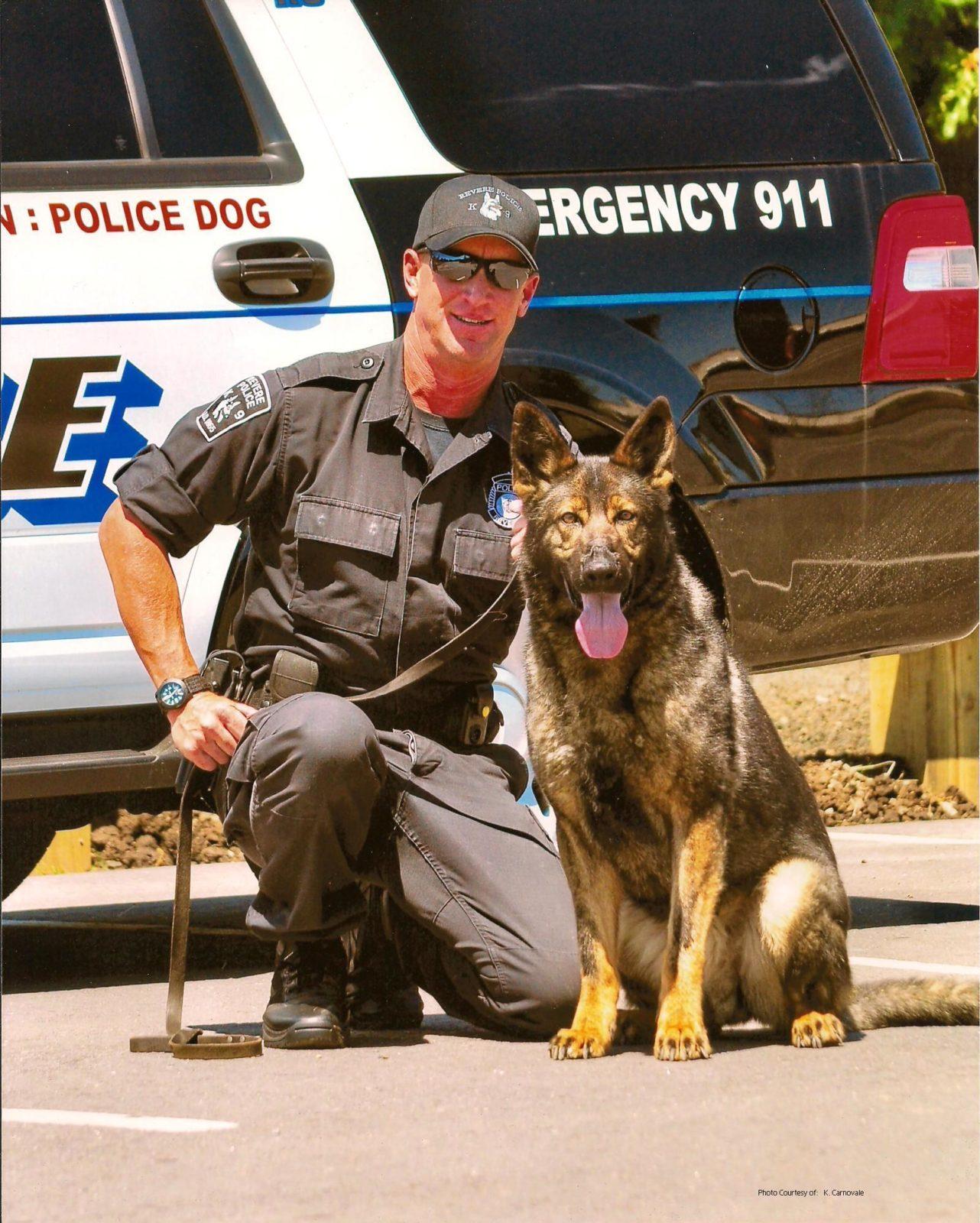 RPD K9 - Revere Police