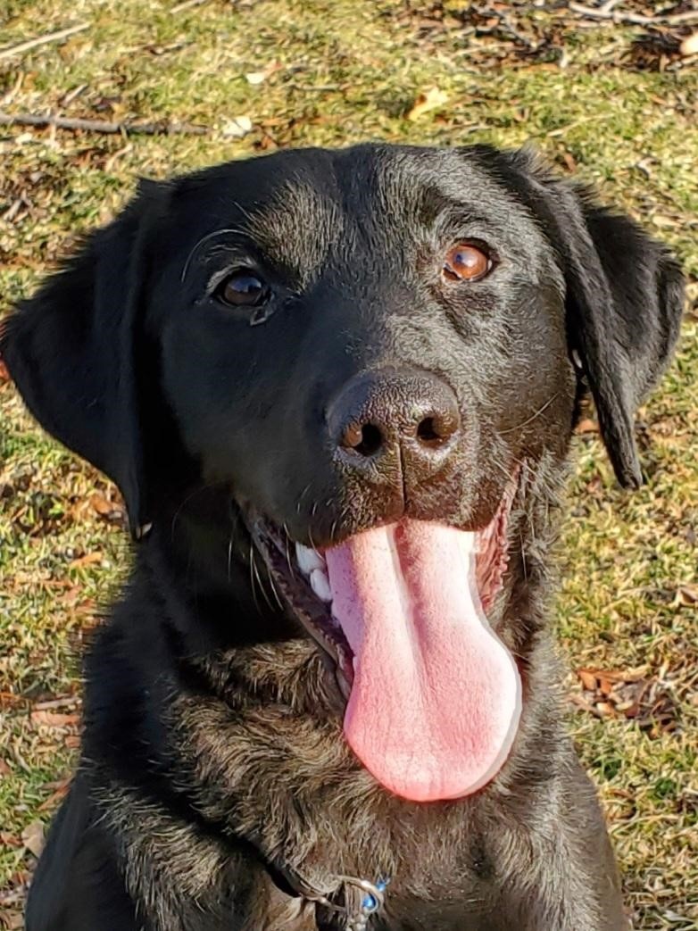 ECHO - Revere Police